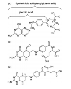 Qual a diferença entre Ácido Fólico, Ácido Folínico e Metilfolato ...